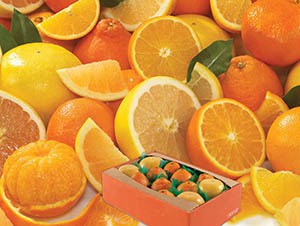 Fast Facts About Florida Oranges | Farm Fresh Fruit Gifts