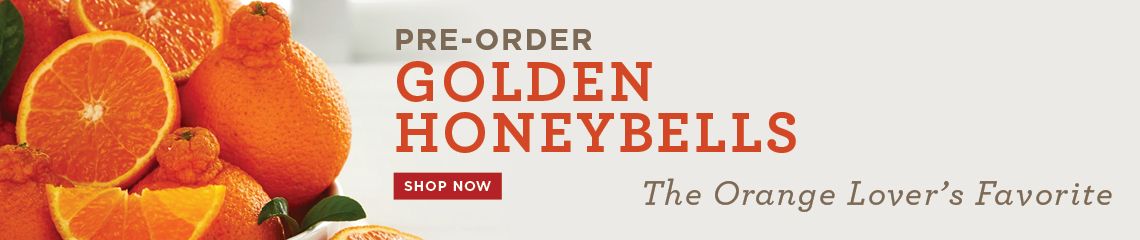 Hale Groves Promo Codes and Discounts