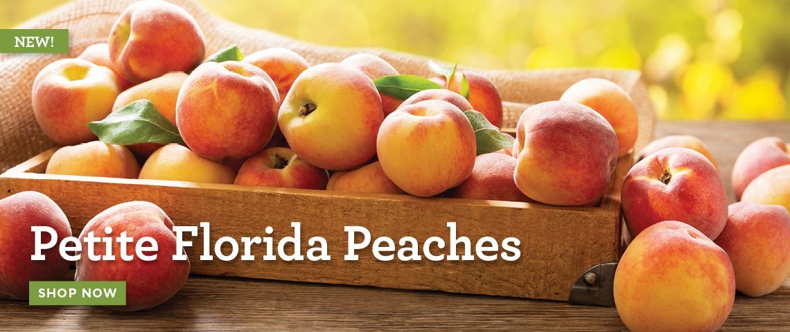 Florida Honeybells - Oranges - Ruby Red Grapefruit & Citrus Fruit Gift ...