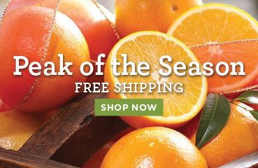Florida Honeybells - Oranges - Ruby Red Grapefruit & Citrus Fruit Gift ...