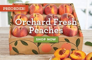 Florida Honeybells - Oranges - Ruby Red Grapefruit & Citrus Fruit Gift ...