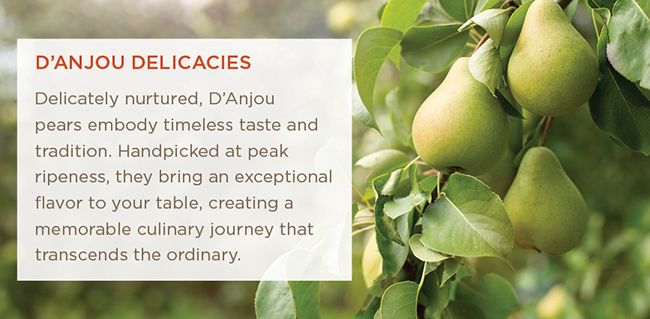 D'Anjou Pears