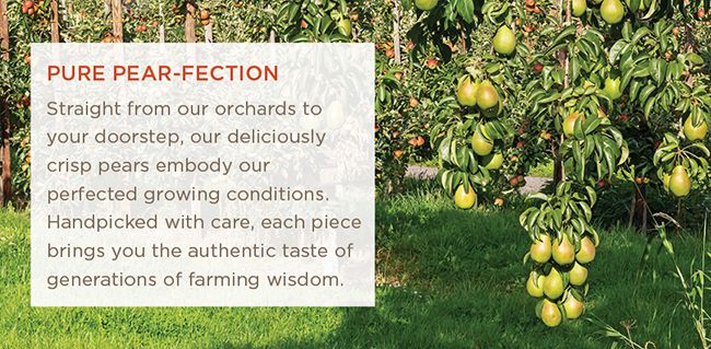 Perfect Pear Assortment