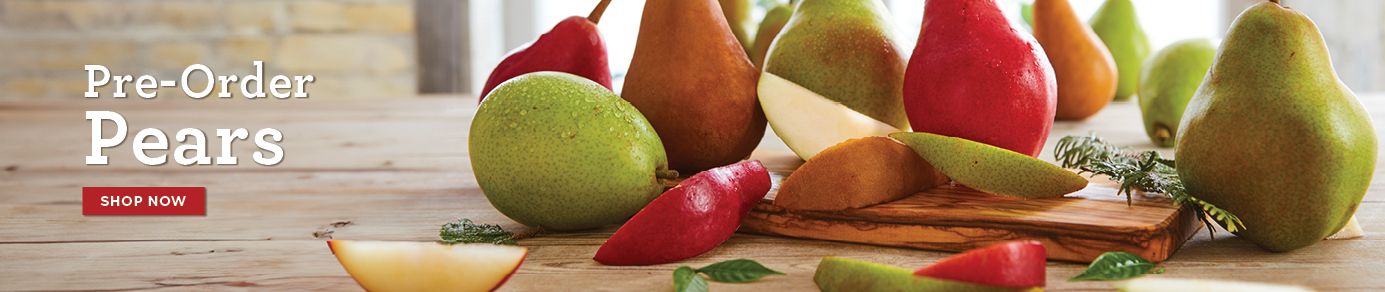 Fruit Season Calendar