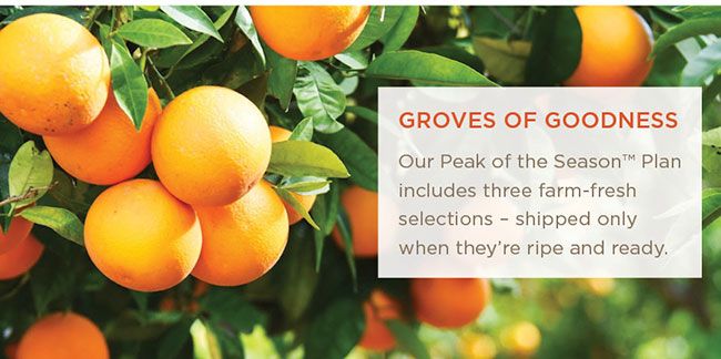 Peak of the Season™ Fruit Clubs