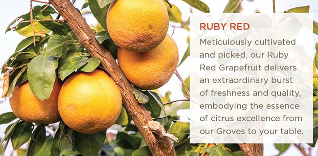 Buy Indian River Ruby Red Grapefruit Online