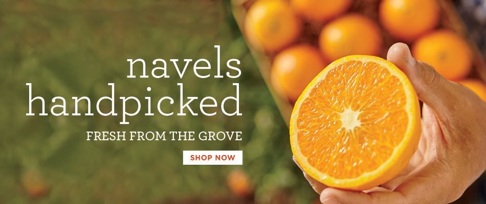 Florida Honeybells - Oranges - Ruby Red Grapefruit & Citrus Fruit Gift ...