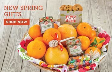 Florida Honeybells - Oranges - Ruby Red Grapefruit & Citrus Fruit Gift ...