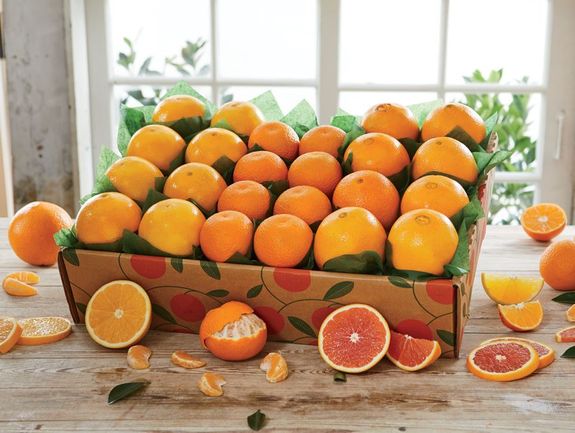 Buy Classic Citrus Gift Boxes Online