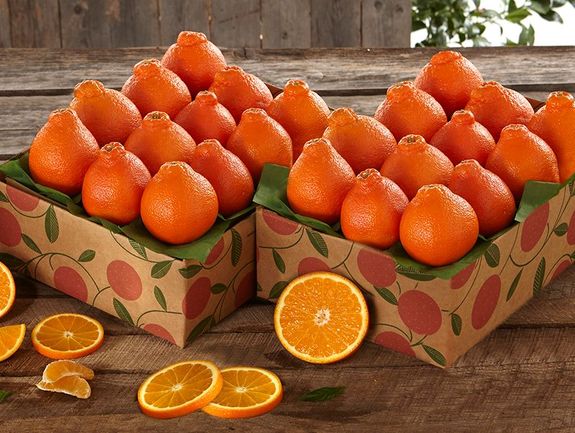 Honeybell Oranges | Honeybell Tangelo | Indian River Honeybells | Order ...