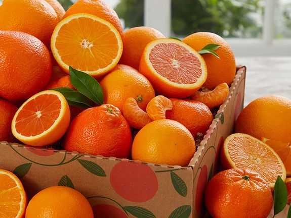 Navels | Navel Oranges | Fresh Oranges| Florida's Oranges| Florida ...