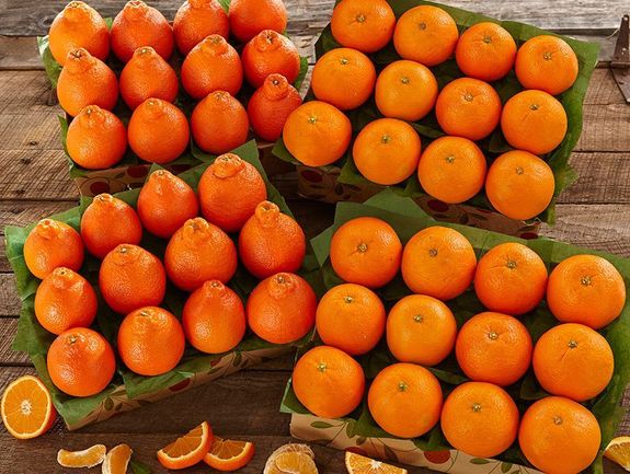 Navels | Navel Oranges | Fresh Oranges| Florida's Oranges| Florida ...