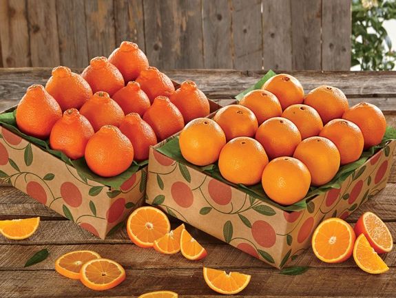 Florida Navel Oranges | Ship Florida Oranges | Oranges Delivery