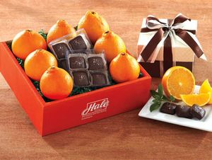 Honeybell Oranges | Honeybell Tangelo | Indian River Honeybells | Order ...