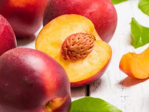 Fruit Season Calendar