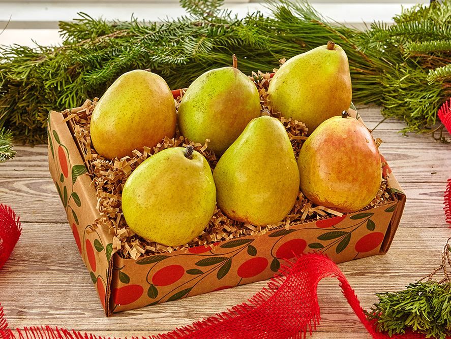 Comice Pears - Hale Groves, serving fresh since 1947