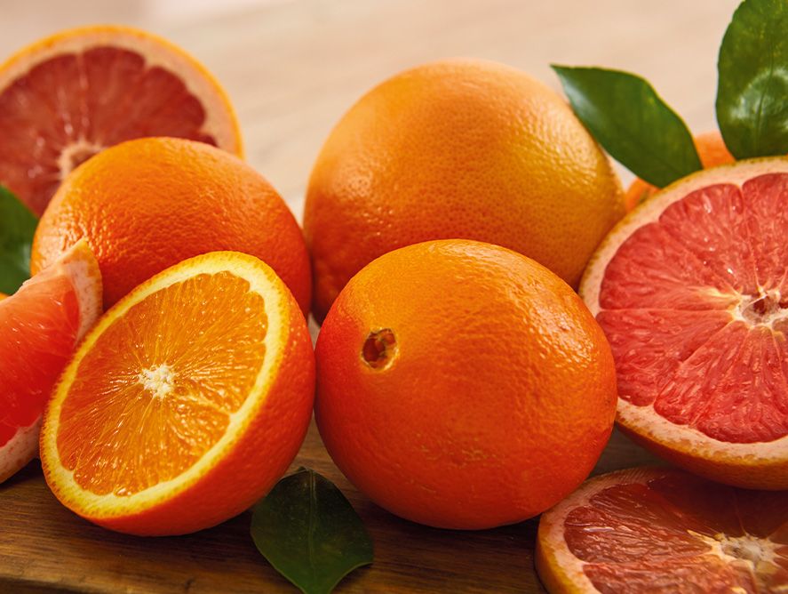 Navel Oranges and Ruby Red Grapefruit - Hale Groves, shipping fresh ...