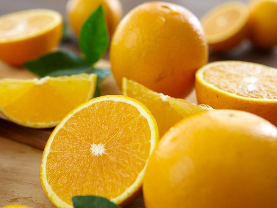 Hale Groves Since 1947 Valencia Oranges hale-groves-since-1947-valencia-oranges