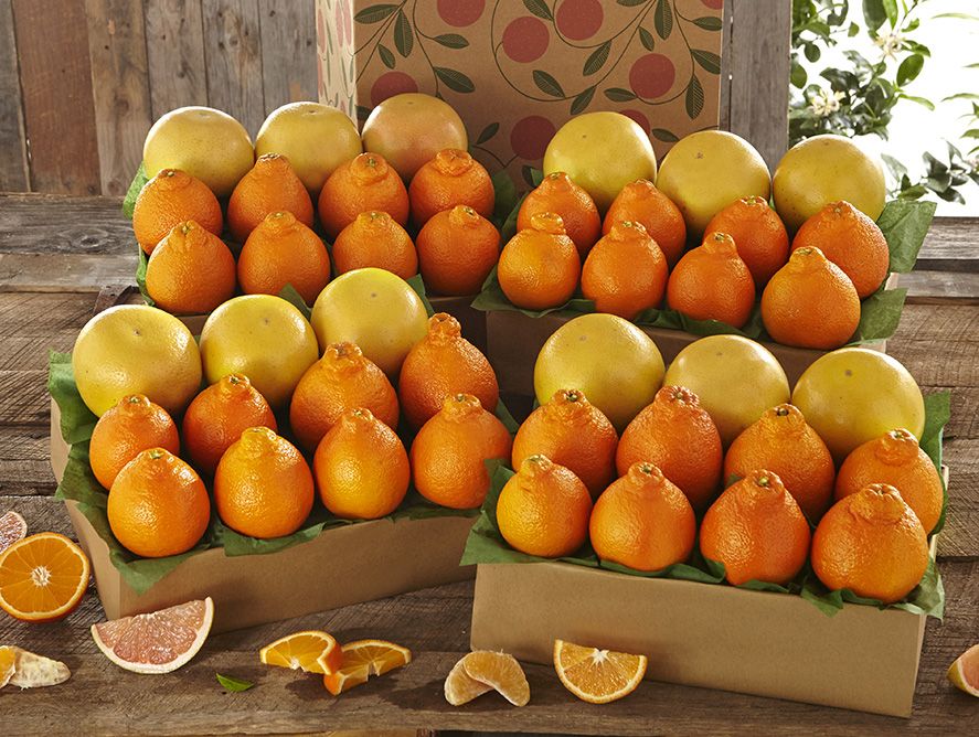 Golden Honeybells and Ruby Red Grapefruit