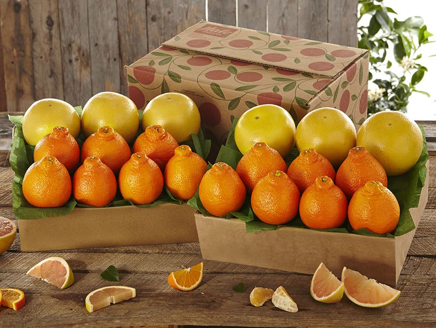 Golden Honeybells and Ruby Red Grapefruit