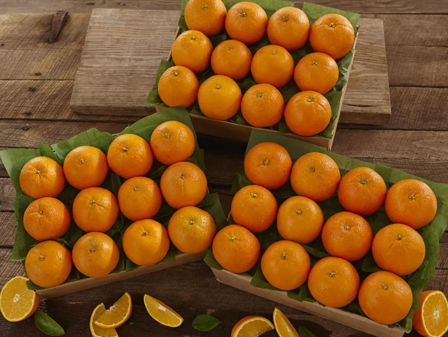 Florida Honey Sweet Tangerines - Ship Tangerines - Send Tangerines