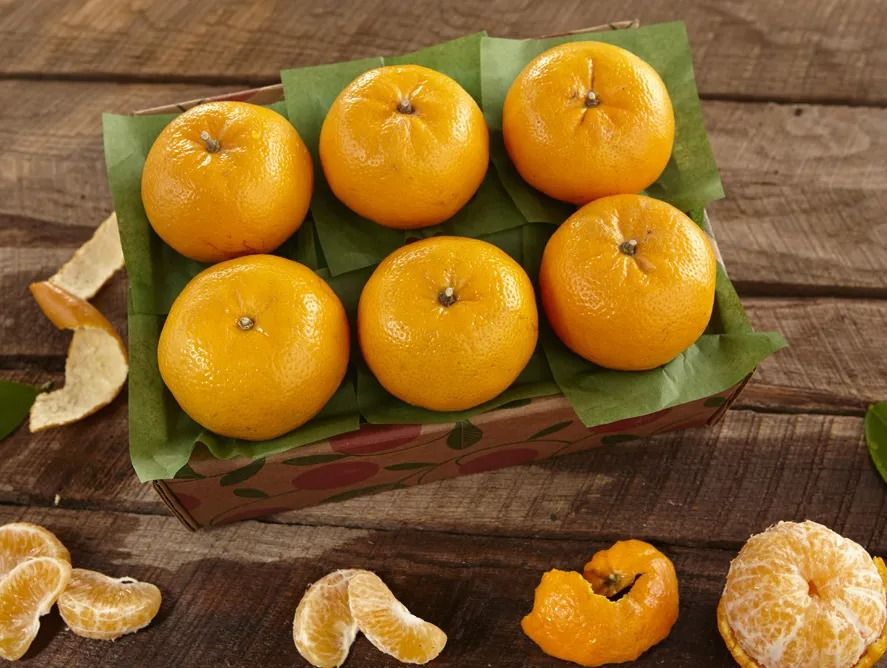 Florida Honey Sweet Tangerines - Ship Tangerines - Send Tangerines