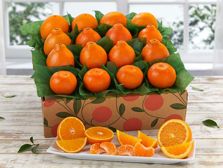 Honeybell Extravaganza