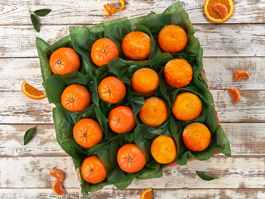 Tangerine Dream Gift Box