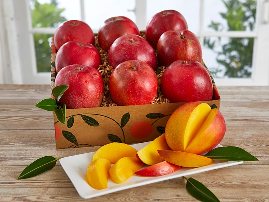 Florida Mangos | Florida Mangos For Sale Online