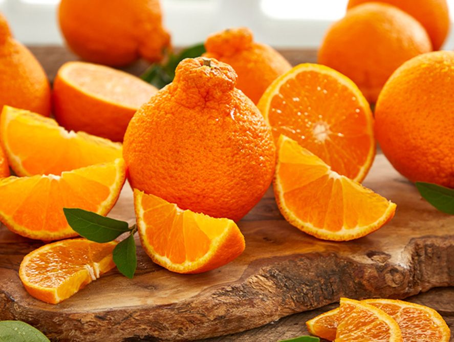 Hale Golden Honeybells