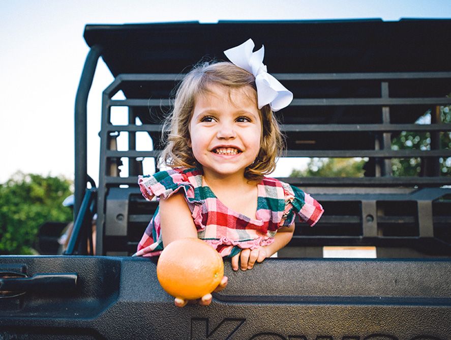 Florida Navel Oranges | Ship Florida Oranges | Oranges Delivery