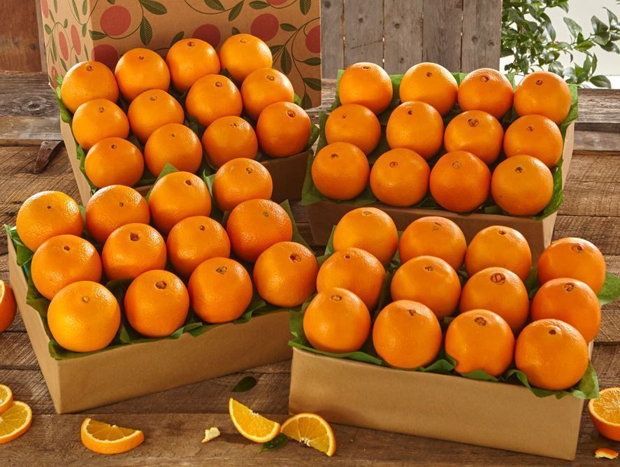 Florida Navel Oranges | Ship Florida Oranges | Oranges Delivery
