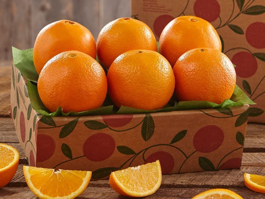 Florida Navel Oranges | Ship Florida Oranges | Oranges Delivery