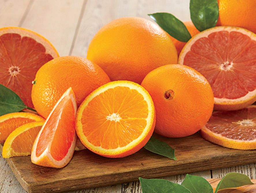 Grove Navel Oranges and Ruby Red Grapefruit