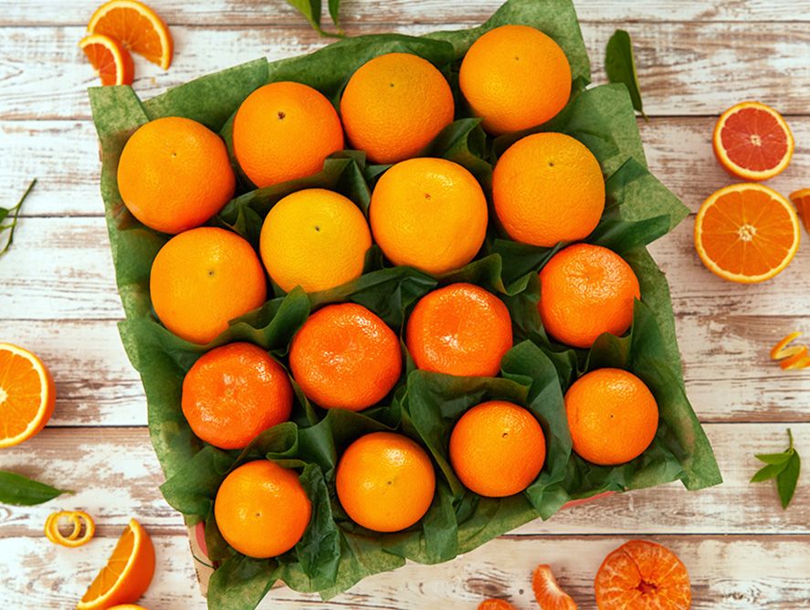 Orange Extravaganza - Florida Oranges - Hale Groves