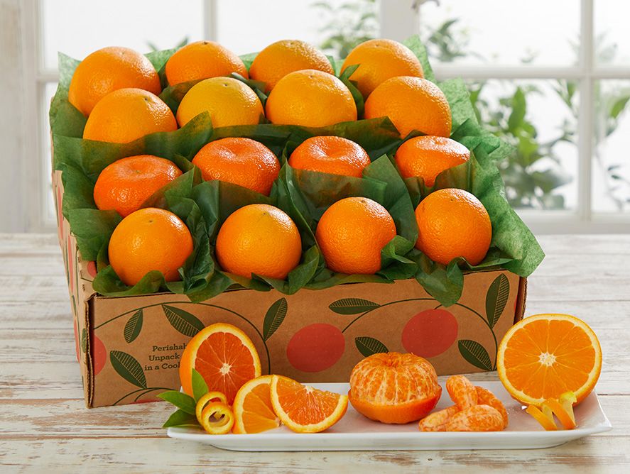 Orange Extravaganza - Florida Oranges - Hale Groves