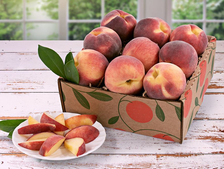 White Peaches | Hale Groves