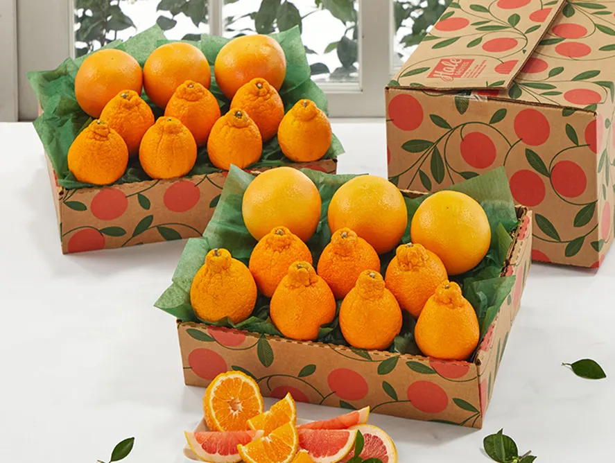 2 Trays - Golden Honeybells & Ruby Red Grapefruit