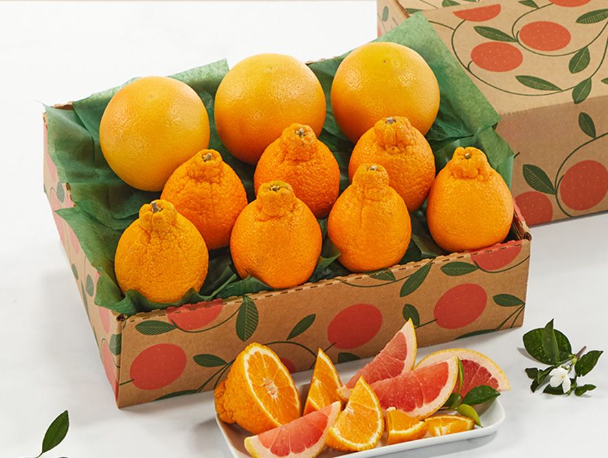 1 Tray - Golden Honeybells & Ruby Red Grapefruit