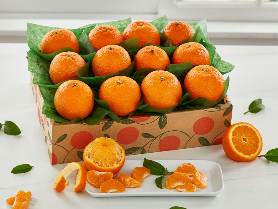 Mini Honeybells - Mail Order Honeybells - Florida Mini Honeybell Tangelos