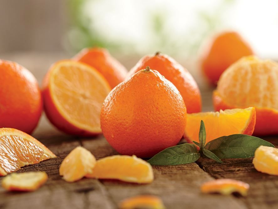 Mini Honeybells - Mail Order Honeybells - Florida Mini Honeybell Tangelos
