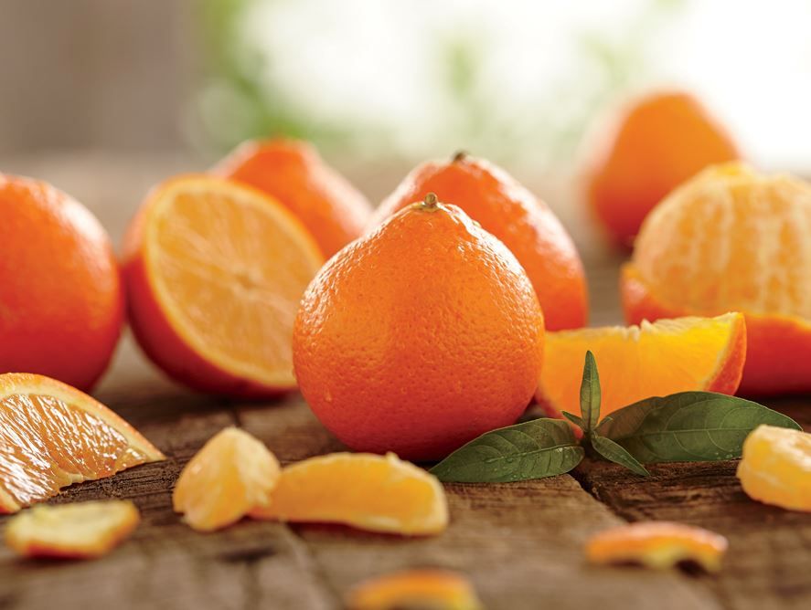 Mini Honeybells - Mail Order Honeybells - Florida Mini Honeybell Tangelos