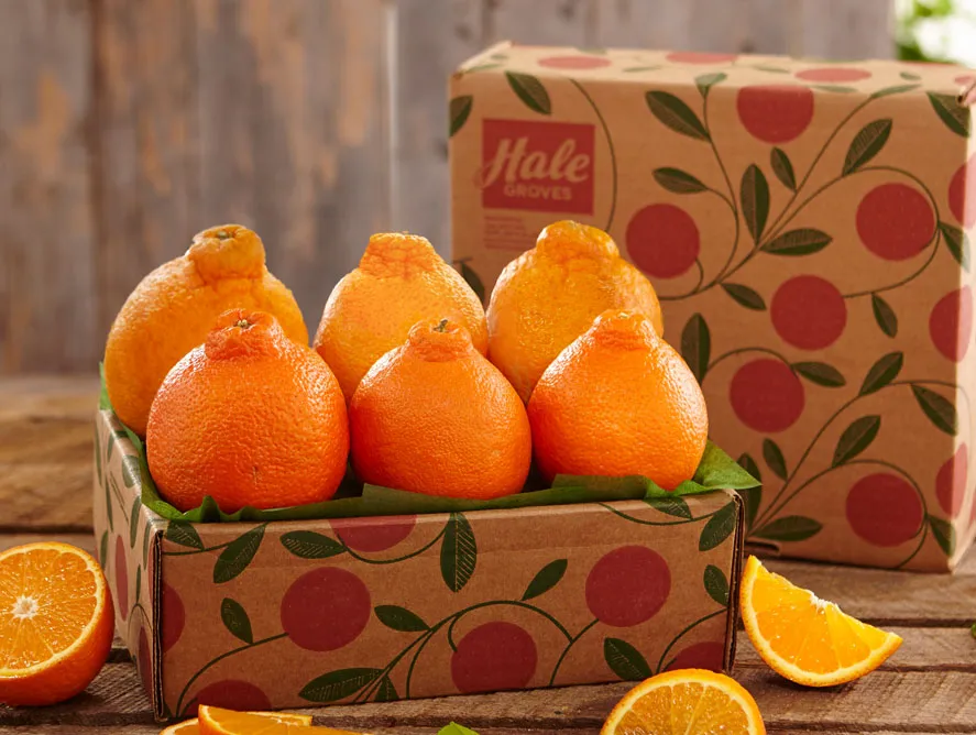 Sampler Tray - Honeybells & Golden Honeybells