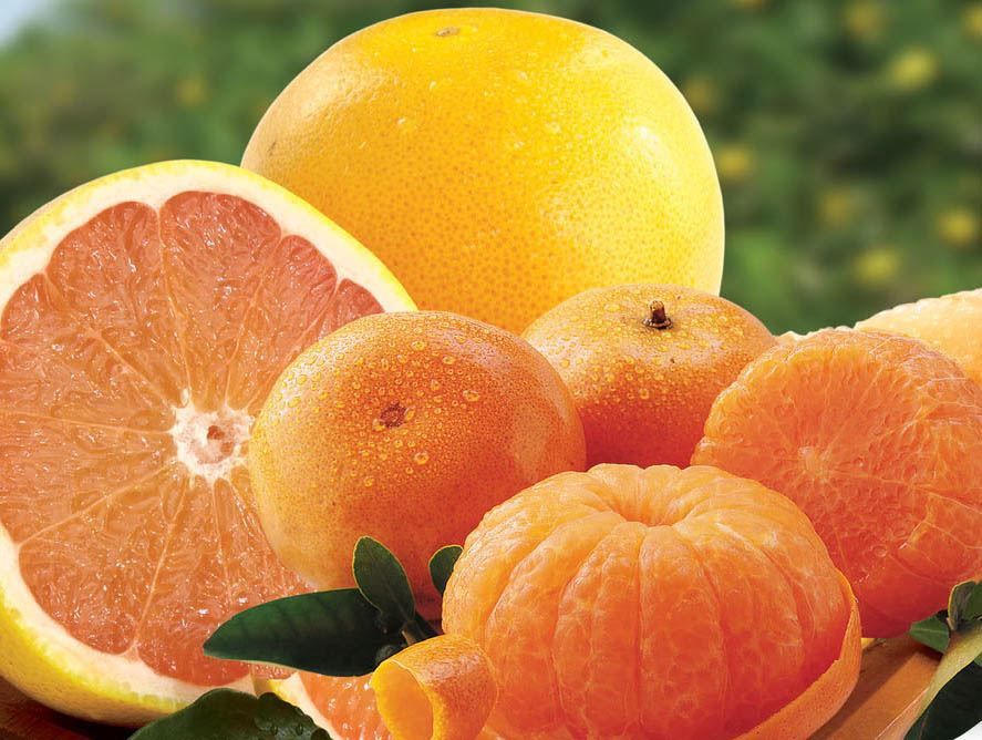 2 Trays Tangerines and Ruby Red Grapefruit | Hale Groves